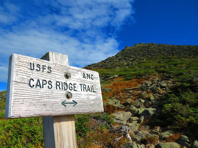 Outdoor Diversion: Ridge Of The Caps to Mount Jefferson