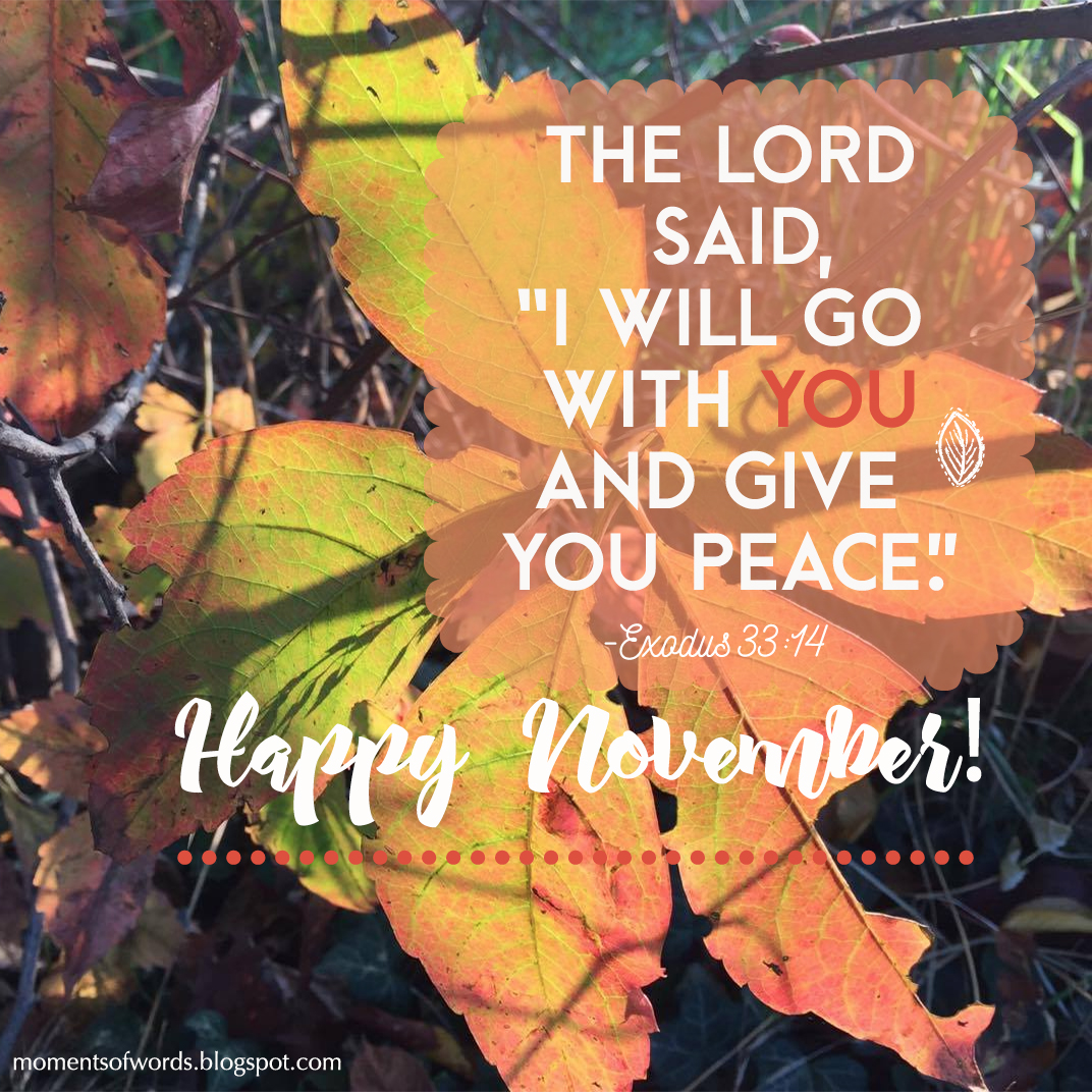Happy November! | Moments of words