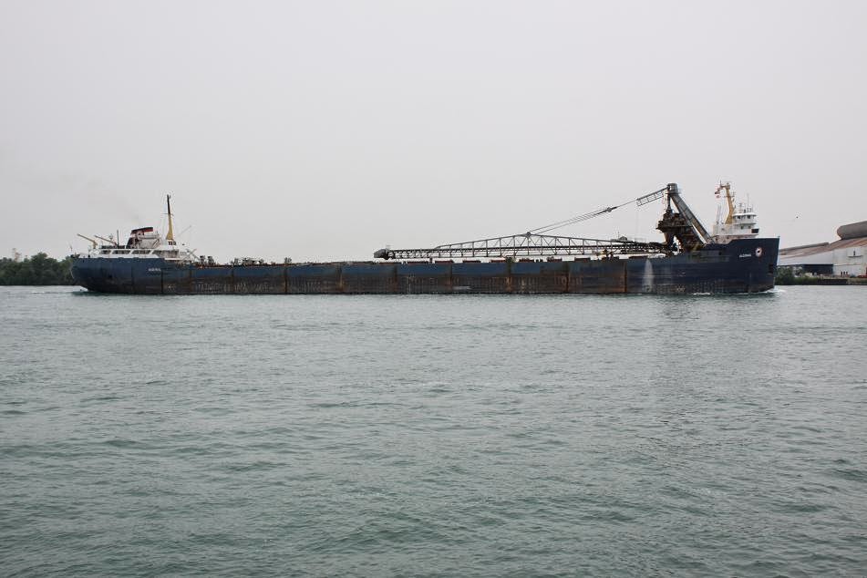 Michigan Exposures: The Terrifying Algorail