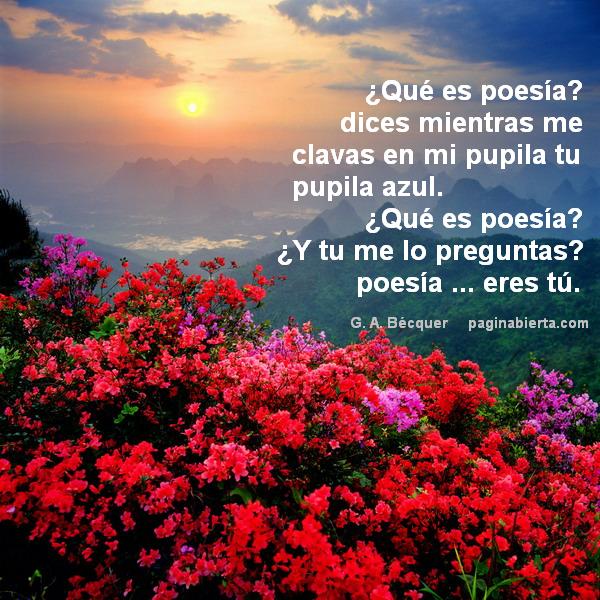 La Poesia: La poesia