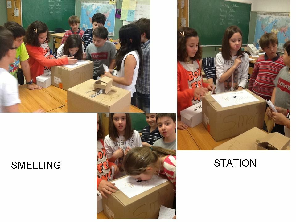 ARTXANDAPE ENGLISH and SCIENCE: OUR FIVE SENSES