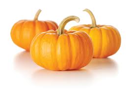 Food and Nutrition Journey To Life: Redefining The Pumpkin Day 45