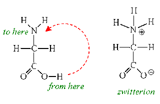 BASIC BIOTECHNOLOGY : PROTEINS