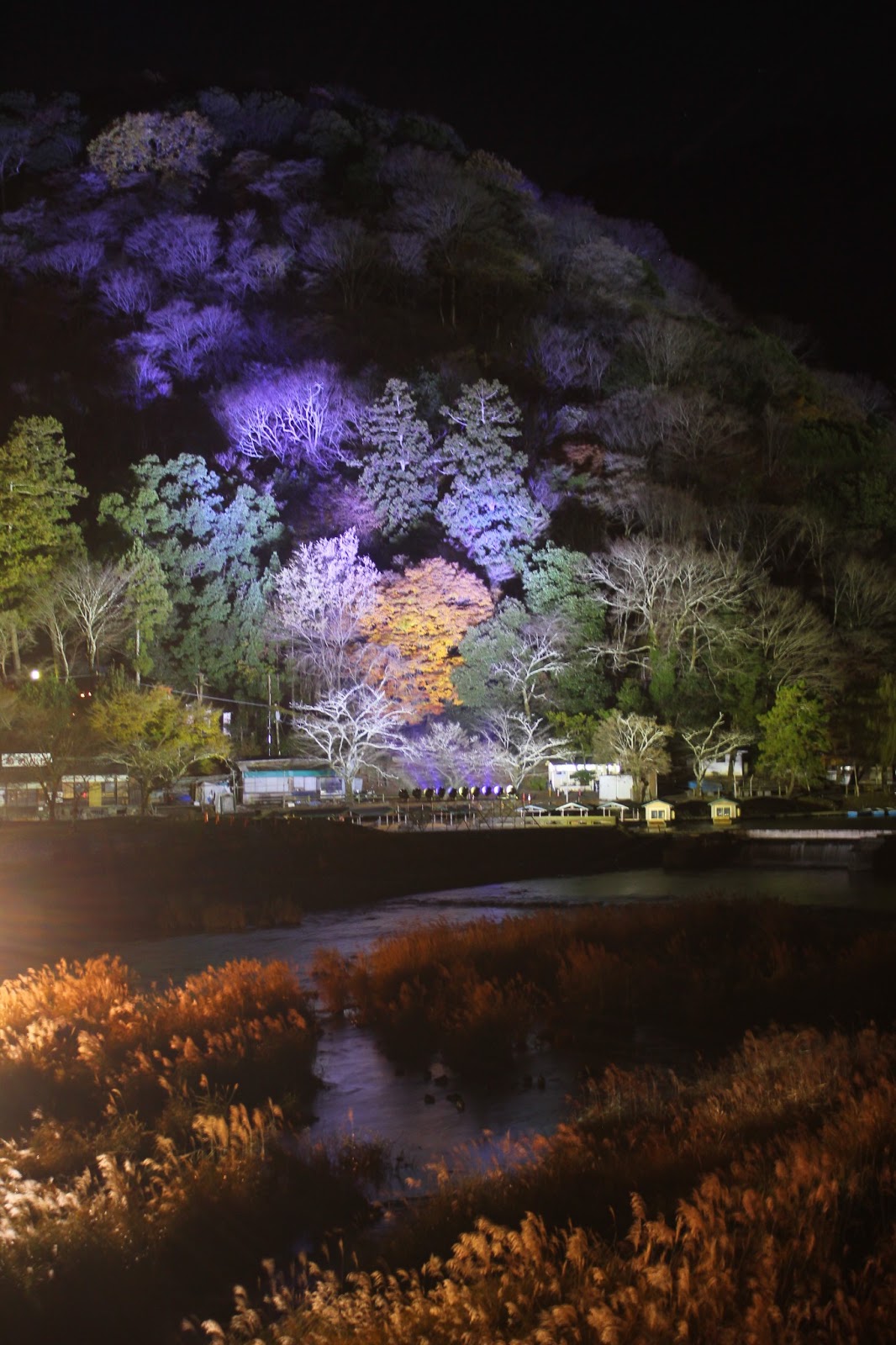 Un tal día: Kyoto Hanatouro en Arashiyama