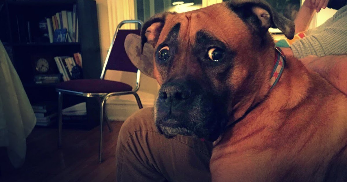 Mauanda*: El Universo: Culpabilidad y Preocupación – Dos emociones inútiles