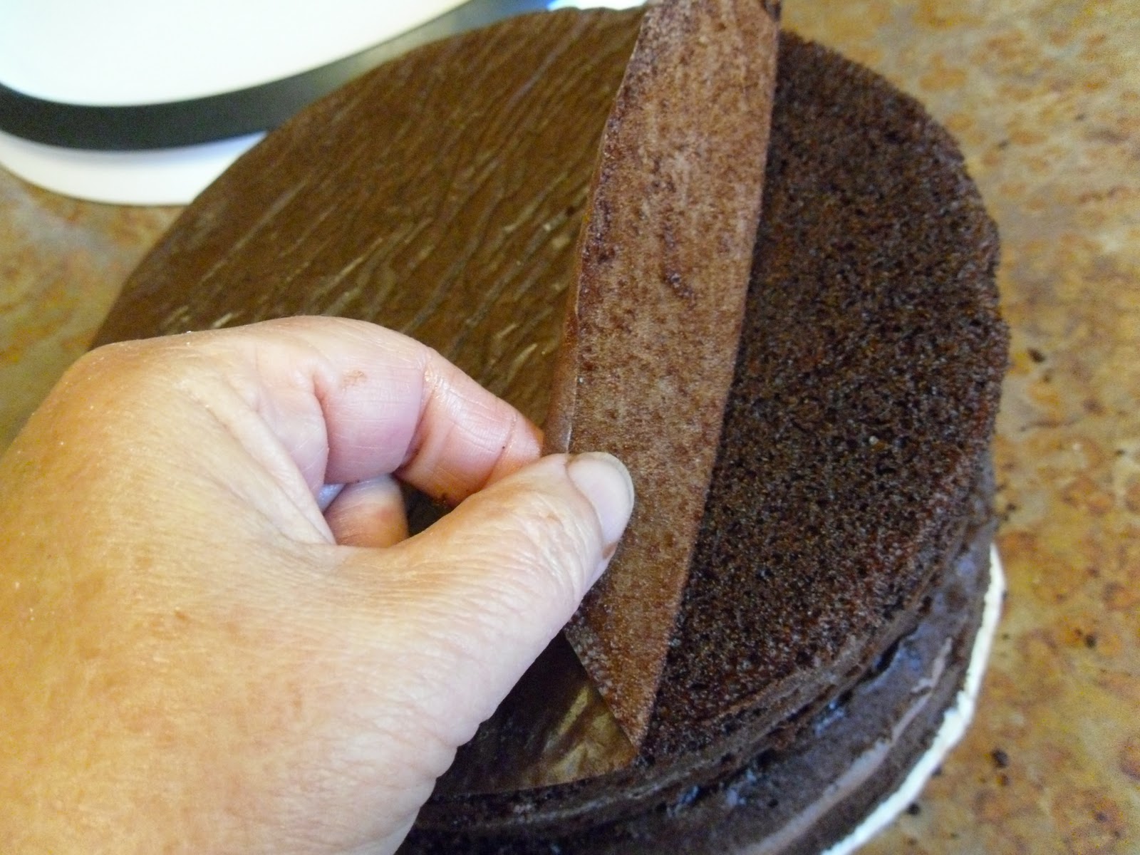 Cake Concepts by Cathy: Making a "Chocolate Lovers Cake"