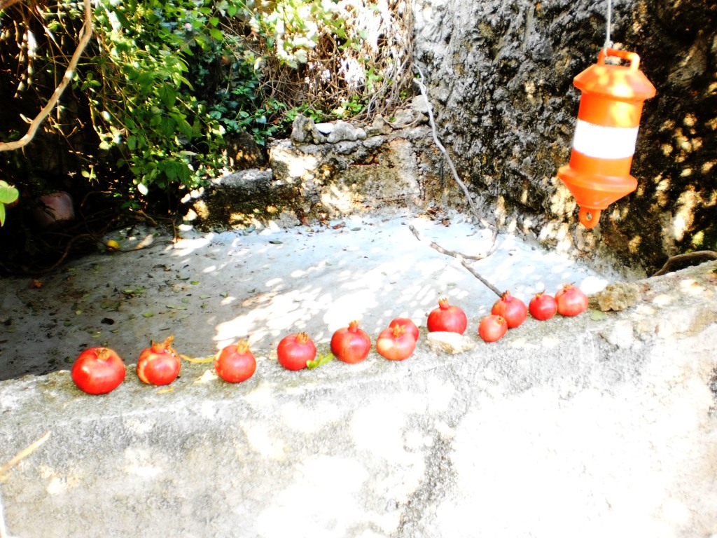 ΣΥΛΛΟΓΗ ΕΙΚΑΣΤΙΚΩΝ ΕΡΓΩΝ / VILLA ΡΟΔΟΠΗ: 2015
