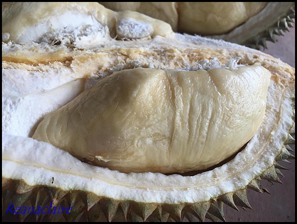 What To Eat in Temoh