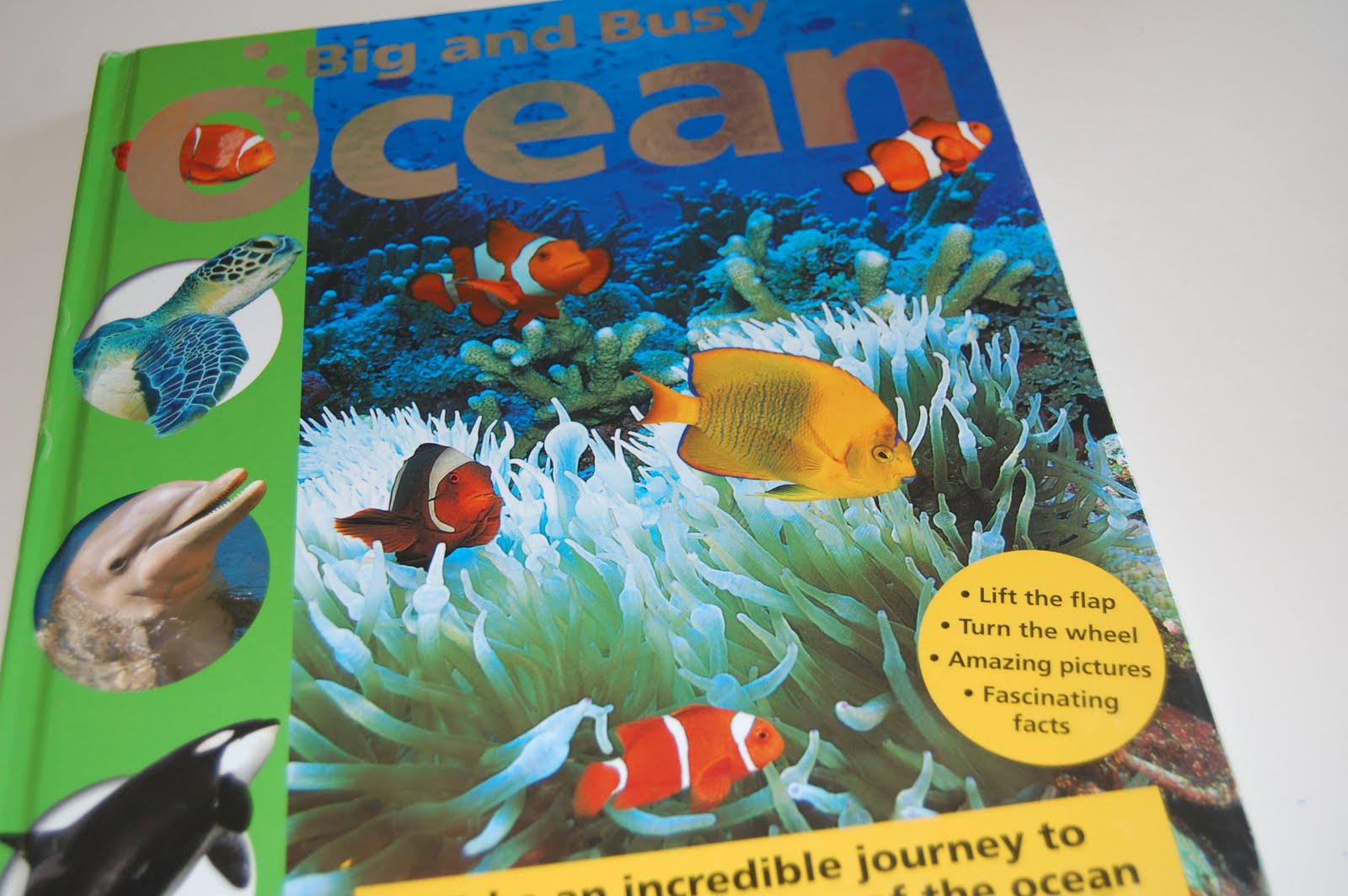 Our Creative Day: Ocean Books & Films