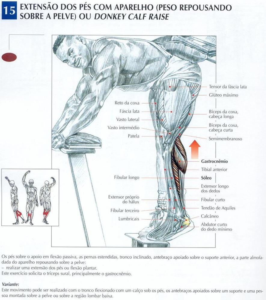 Clube Maromba: [PERNA]