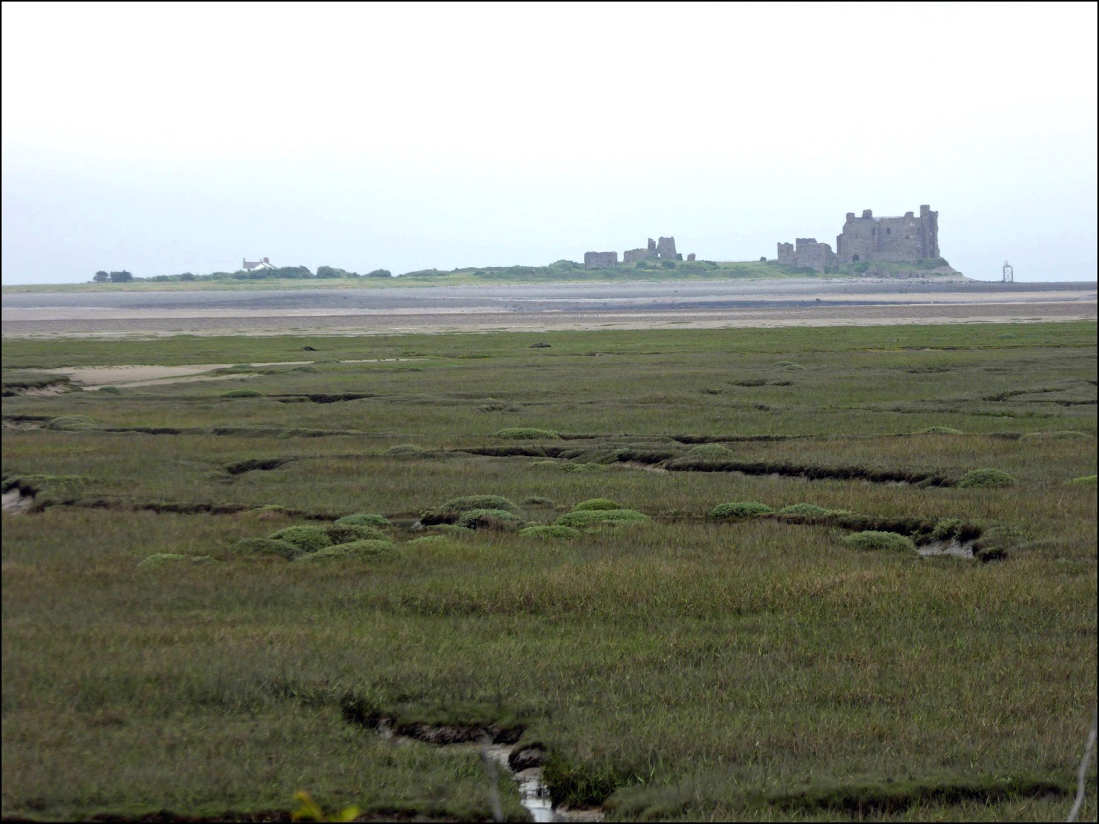 Wild and Wonderful: Holiday 3: A Day on Walney Island