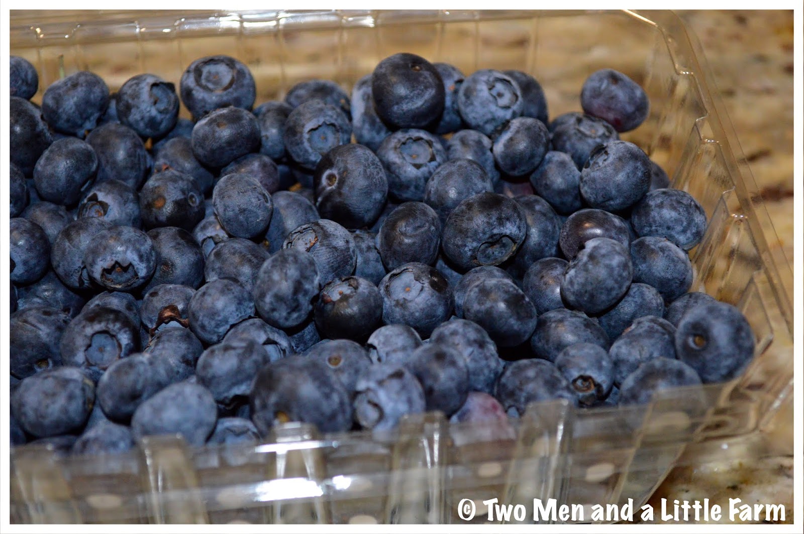 Two Men and a Little Farm: OVEN ROASTED BLUEBERRIES