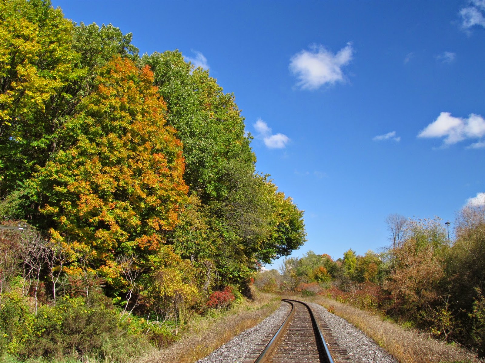The World of Gord: A Walk Along the Lower Don Valley Trail