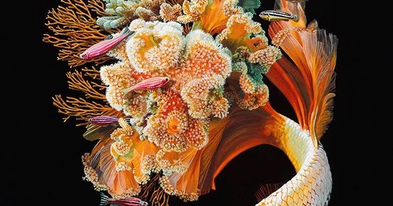 Hyperrealistic Fish Painting By Lisa Ericson - Art Collection