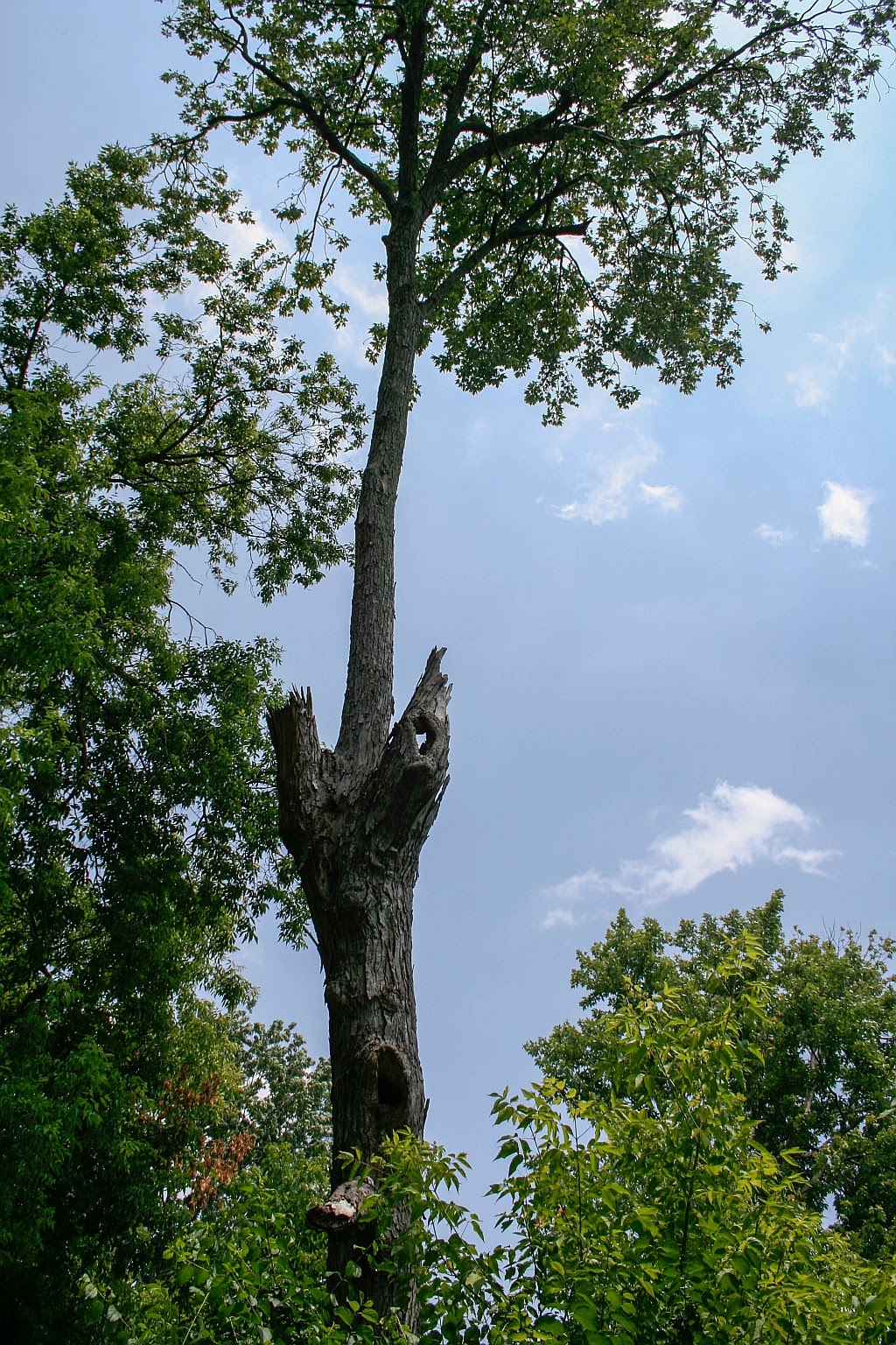 Mishy's Corner of the World: Rowntree Mills Park