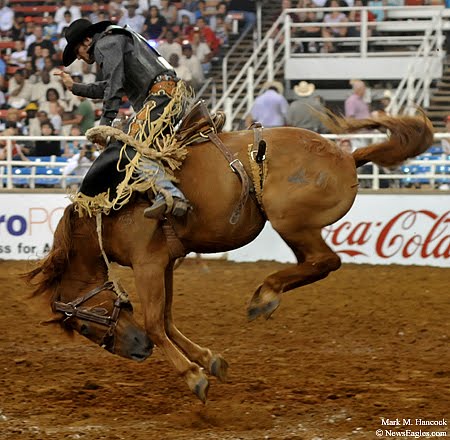 PhotoJournalism: Epic Roadtrip - Mesquite Championship Rodeo