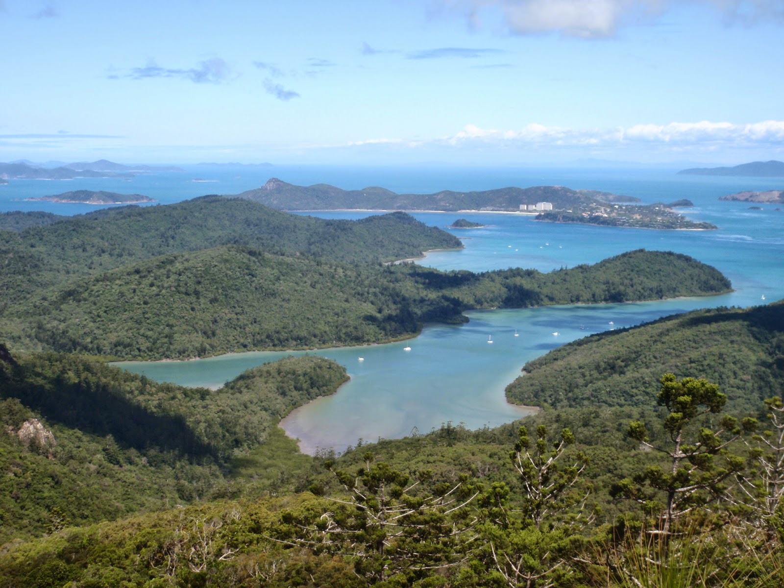 Web Log of the TORTUGUITA: Cid Harbor, Whitsunday Island