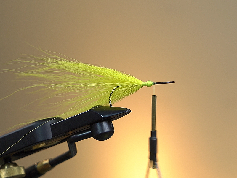 Mad River Outfitters: Fly Tying- The Bucktail Deceiver Fly