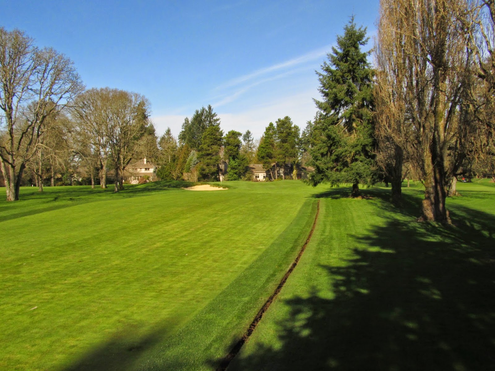 TacomaTurf: Root Pruning