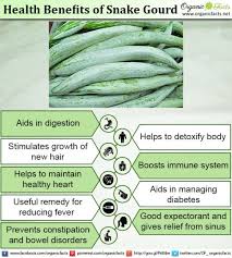 Alternative health tips, healthy lifestyle choices: The Health Benefits ...