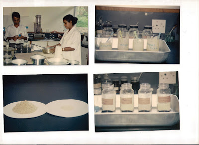 Amylase Rich Food (ARF) - Nutrition & Lifestyle