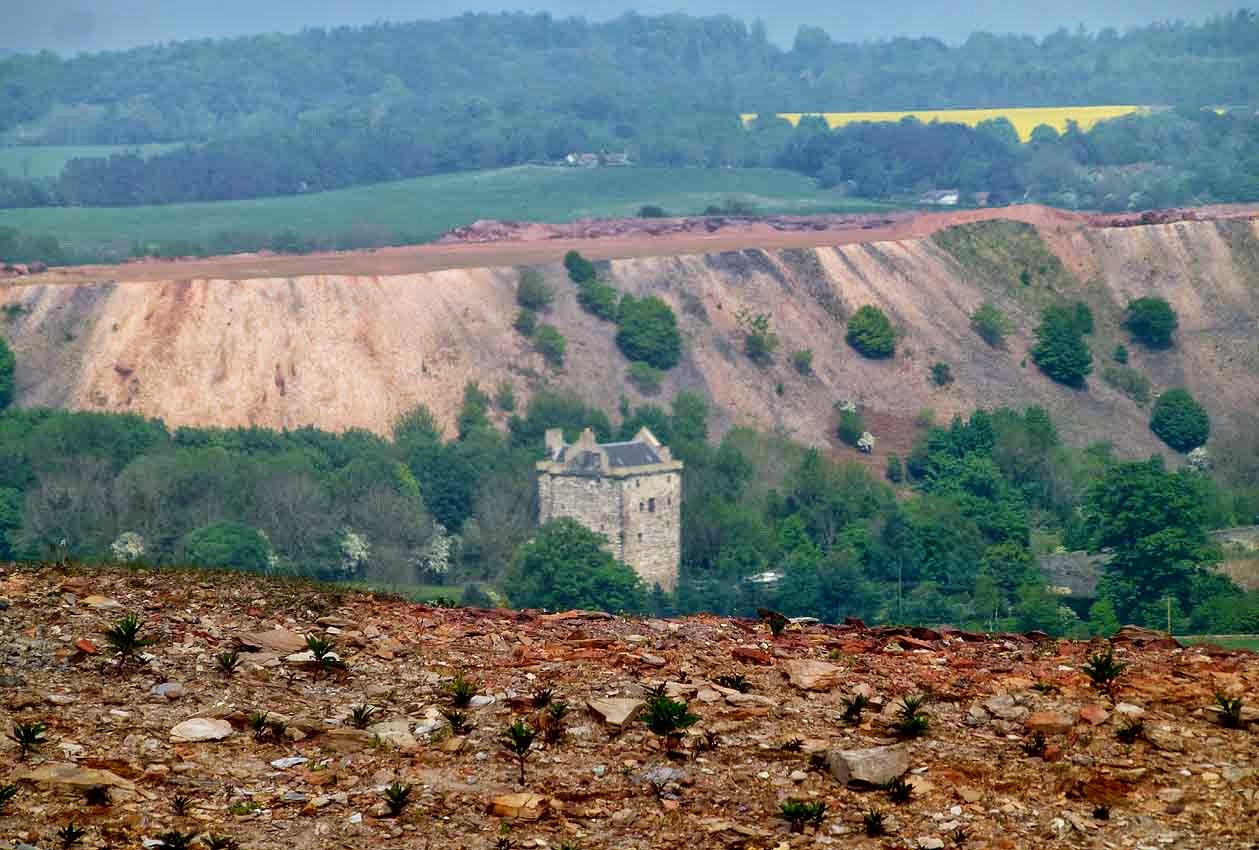 Alex and Bob`s Blue Sky Scotland: May 2014
