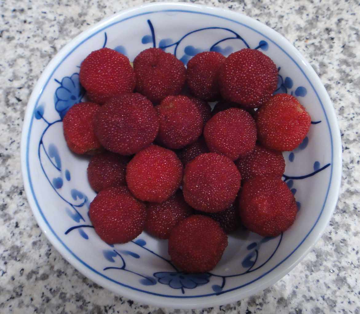 RoadToParnassus: A good time to be in Taiwan