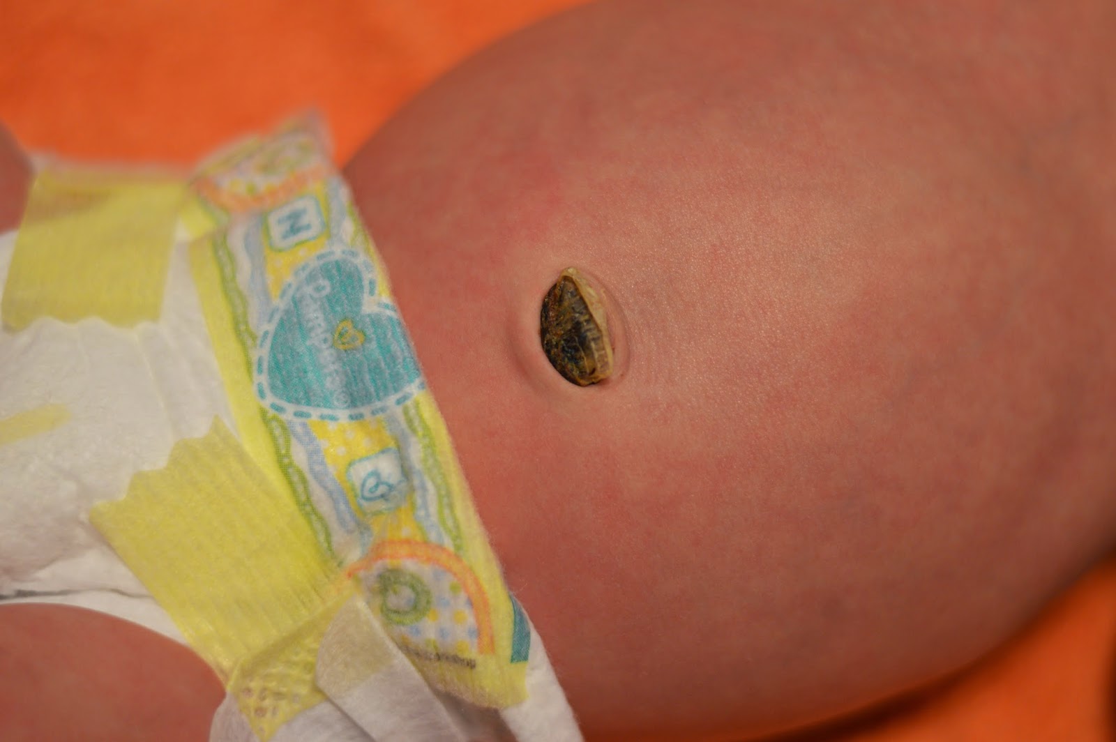 Week Two Summary - The Journey of Parenthood...