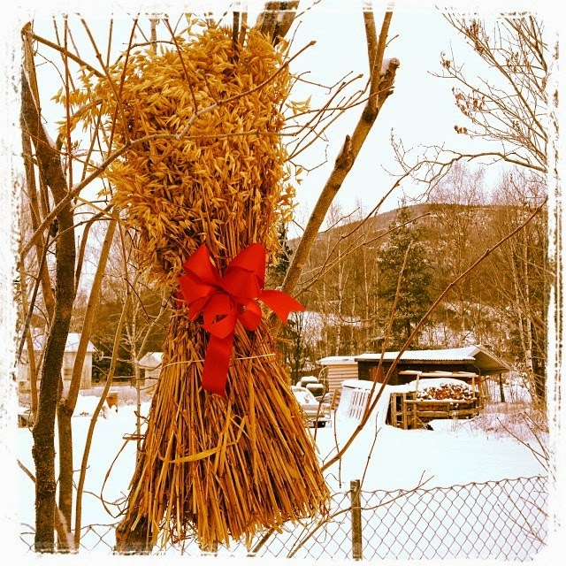 Blomsterdama: Fuglenek og solsikke