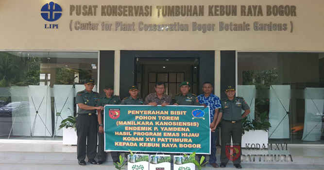 Kebun Raya Bogor Tambah Koleksi Bibit Pohon Torem