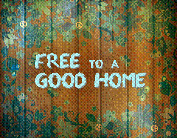 My Journey: FREE to good home