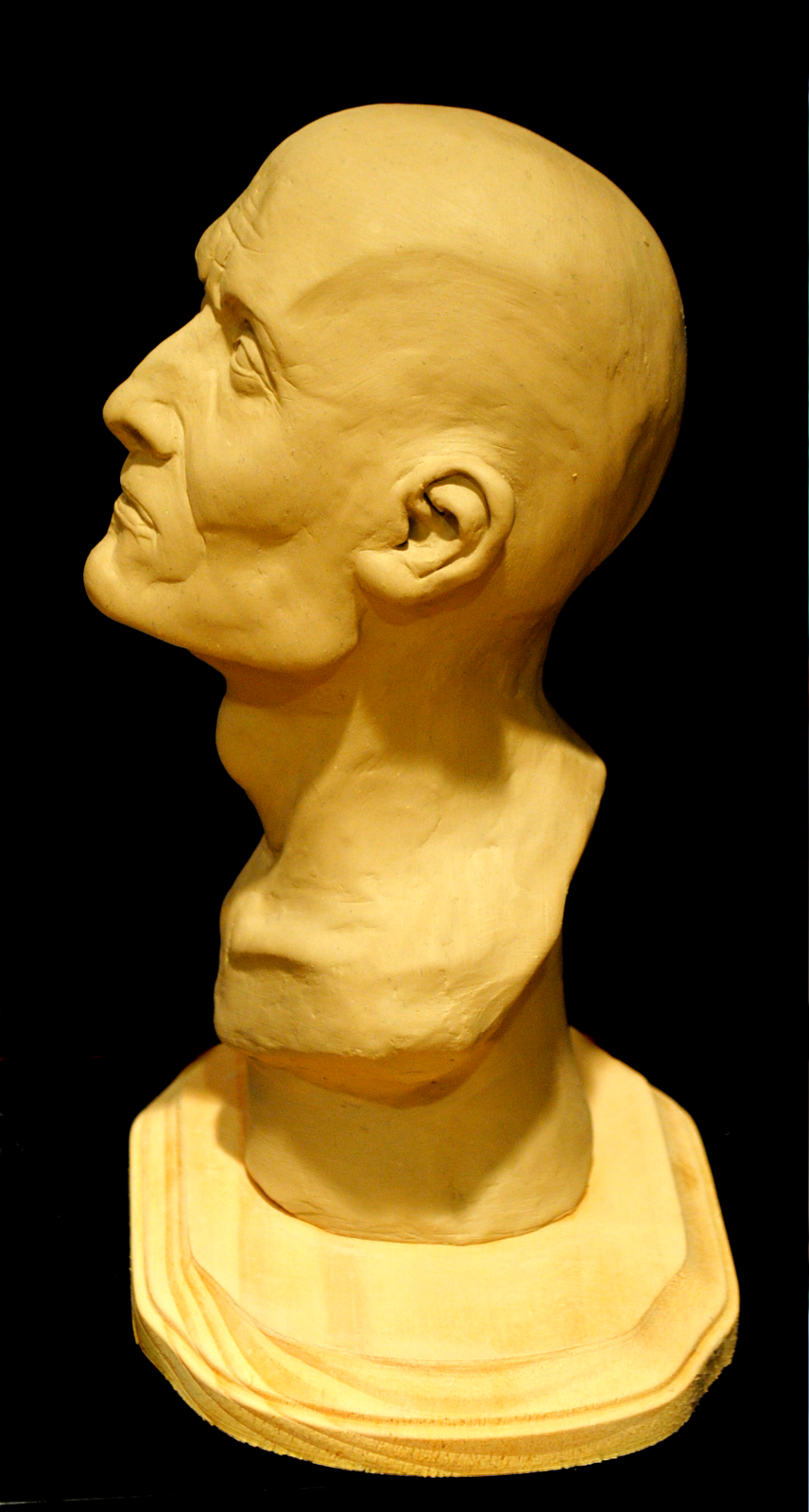 Eric Rosenberg Art: Finished WED Bust