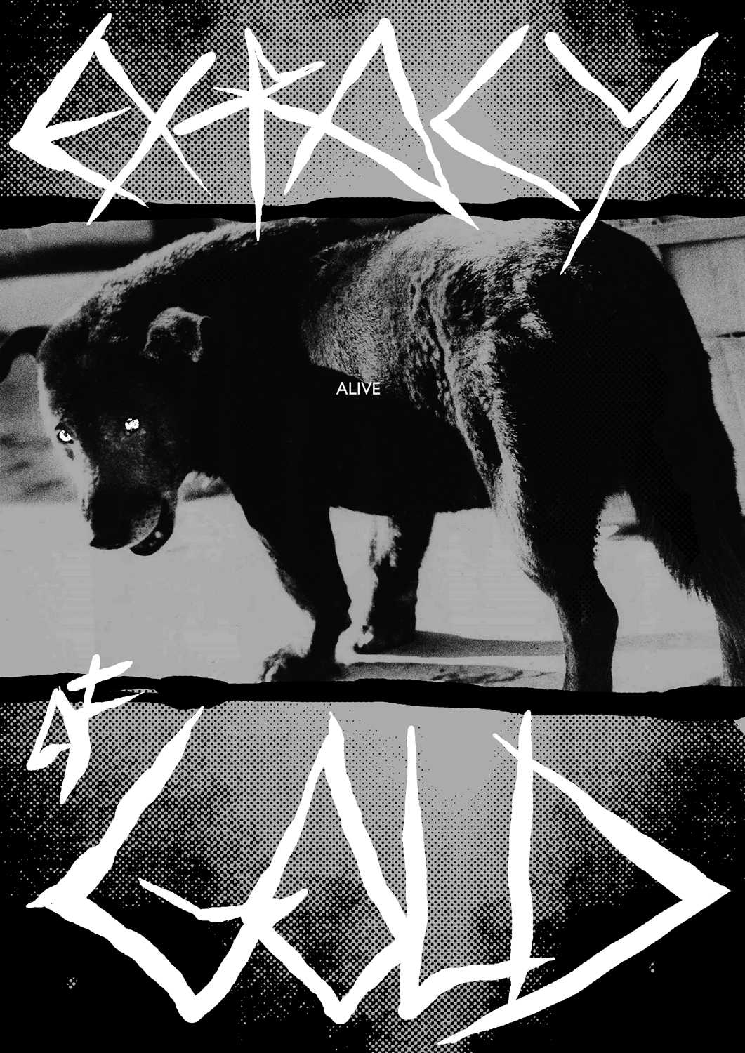 COMICBOOK OUTLAW: PUNX POSTER2