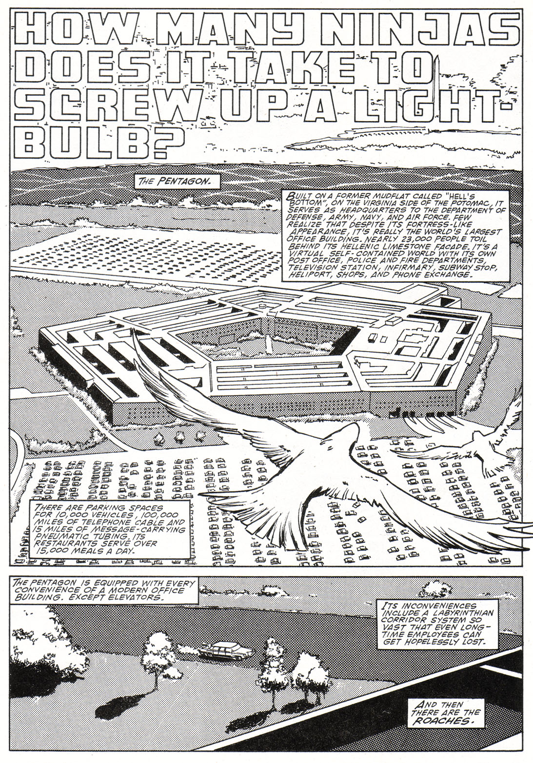 THE CARNIVAL OF WEIRD!: THE DESTROYER MAGAZINE #3