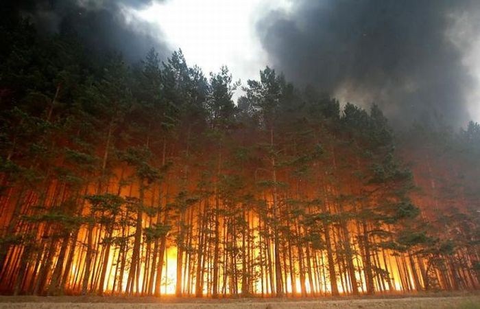 Photographic Moment: Natural Disasters Pictures