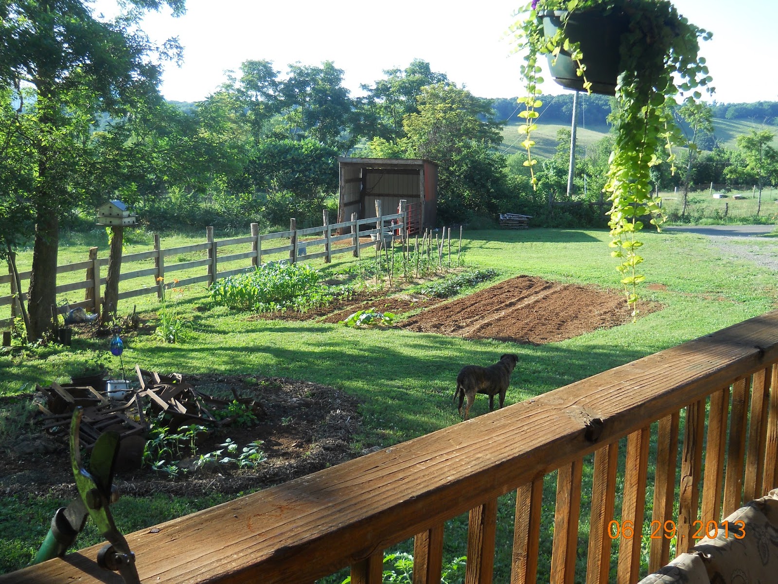 Heavens' Half Acre Homestead