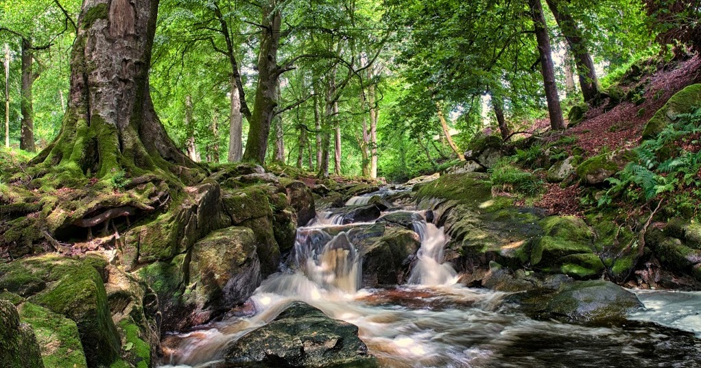 McPepo: Nacimiento de un Rio