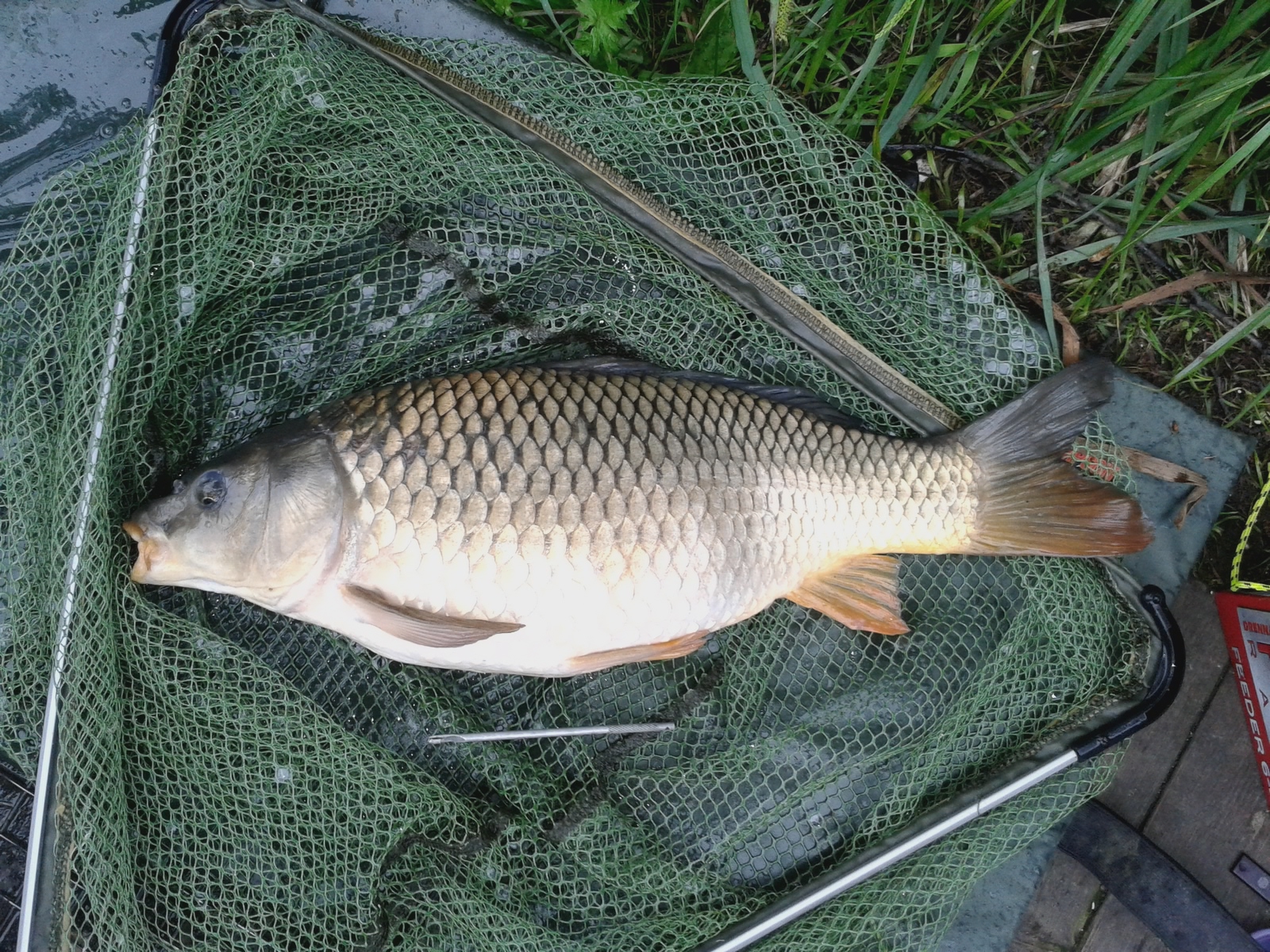 The Broads Fisherman: Dilham Fishery