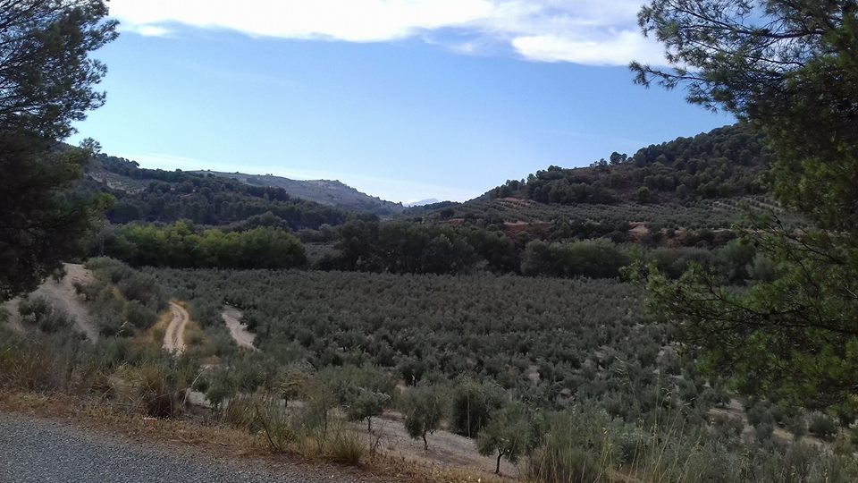 A VISTA DE PÁJARO...: Río Cacín