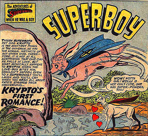 SNEAK PEEK : "DC Super Pets" Unleashed