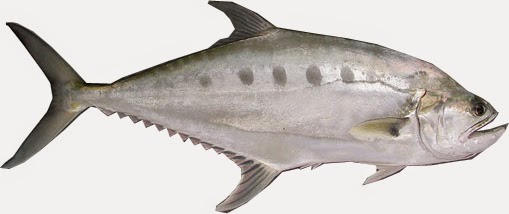 namakucella: ACAR IKAN TALANG....!!!