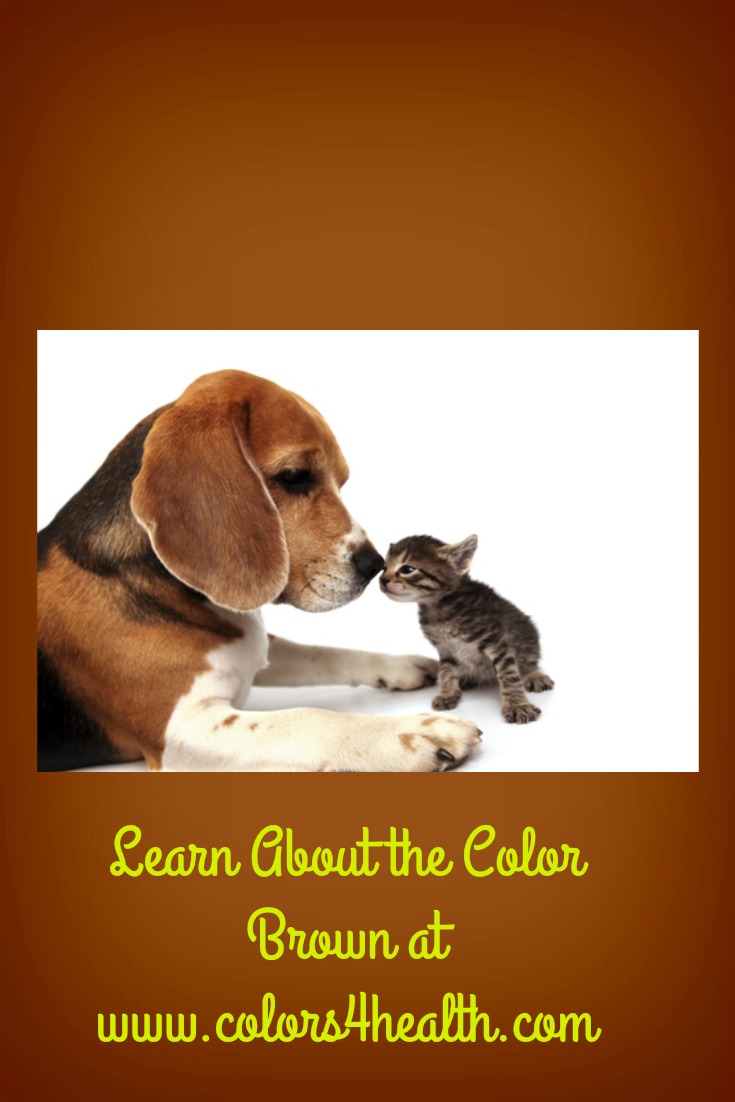 Colors 4 Health: Want to Feel Stable and Grounded? Use Brown