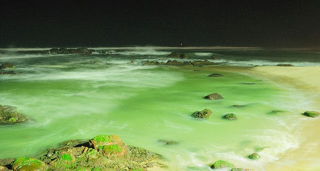 Beautiful Nature Images And Wallpapers: Night Beaches | Beautiful ...