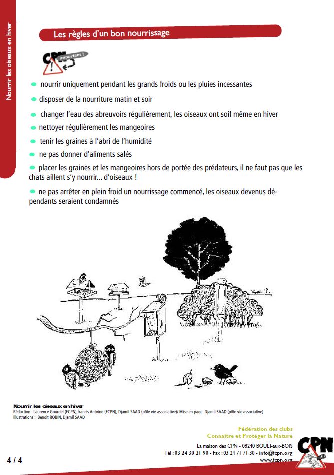 Breuillet Nature: Les oiseaux en hiver