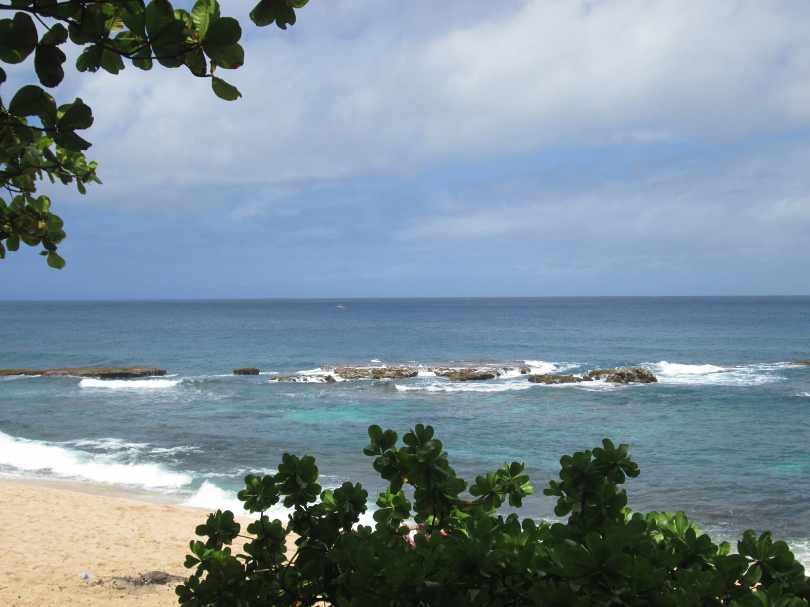 Aloha On My Mind: Aloha to Pupukea on the North Shore