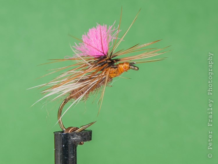 Fishing With Flies :: Blog: Set up for photographing the finished fly ...