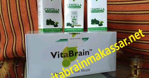 Harga Obat Vitabrain (Vitamin Untuk Kecerdasan Otak Anak) di Apotik ...
