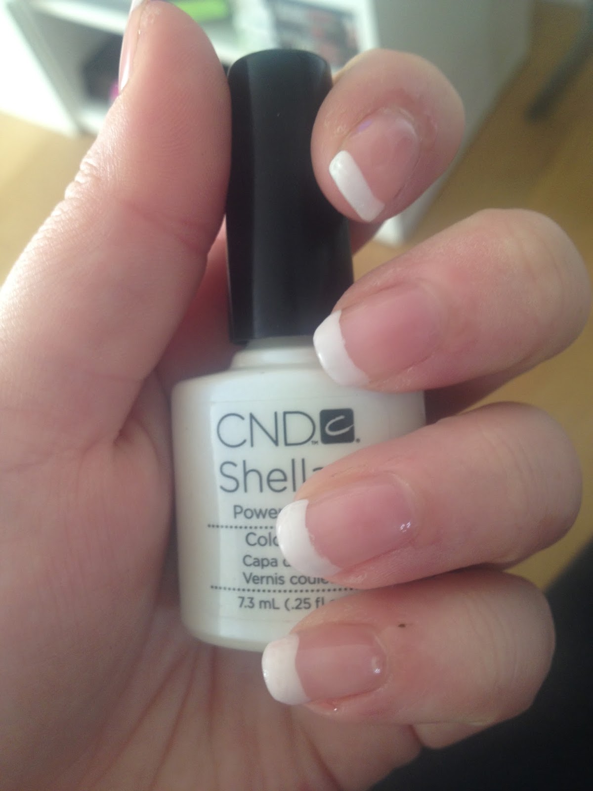 Butterfly Beauty Cheshire