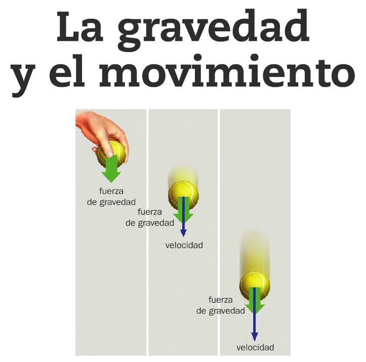 Nuestro Espacio: Las fuerzas y el movimiento