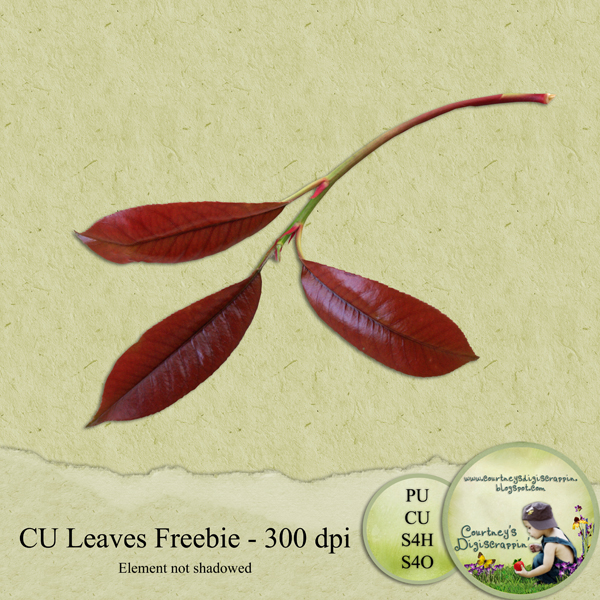 Courtney's Digiscrappin': Freebies